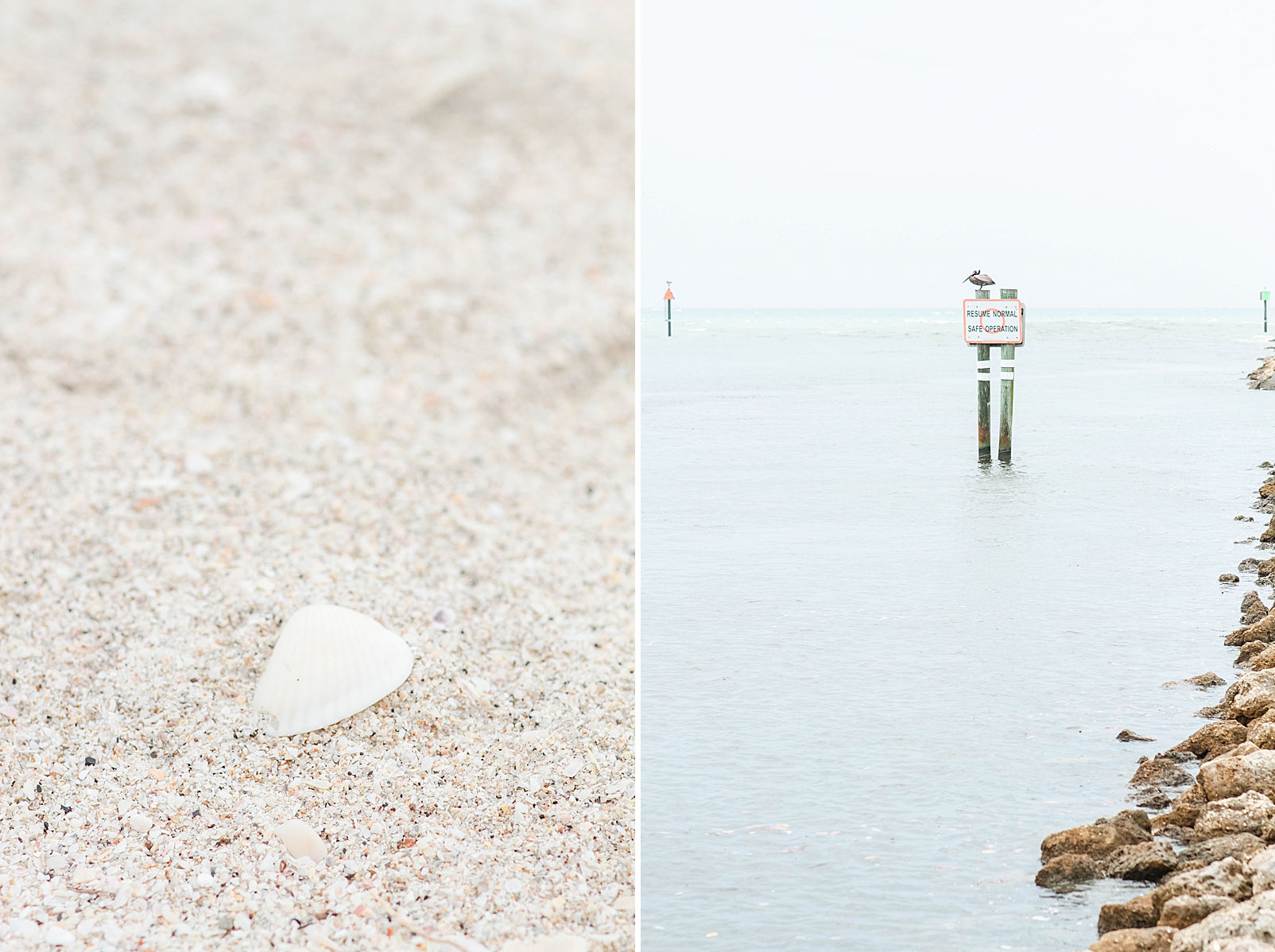 Alexis & AJ | North Jetty Park Engagement | Blog | Deanna Grace Photography